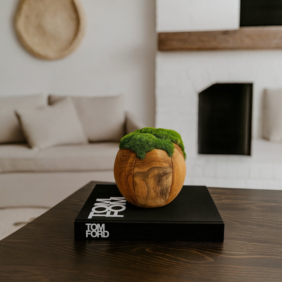 Mossed Teak Sphere – RootsofEarthCo