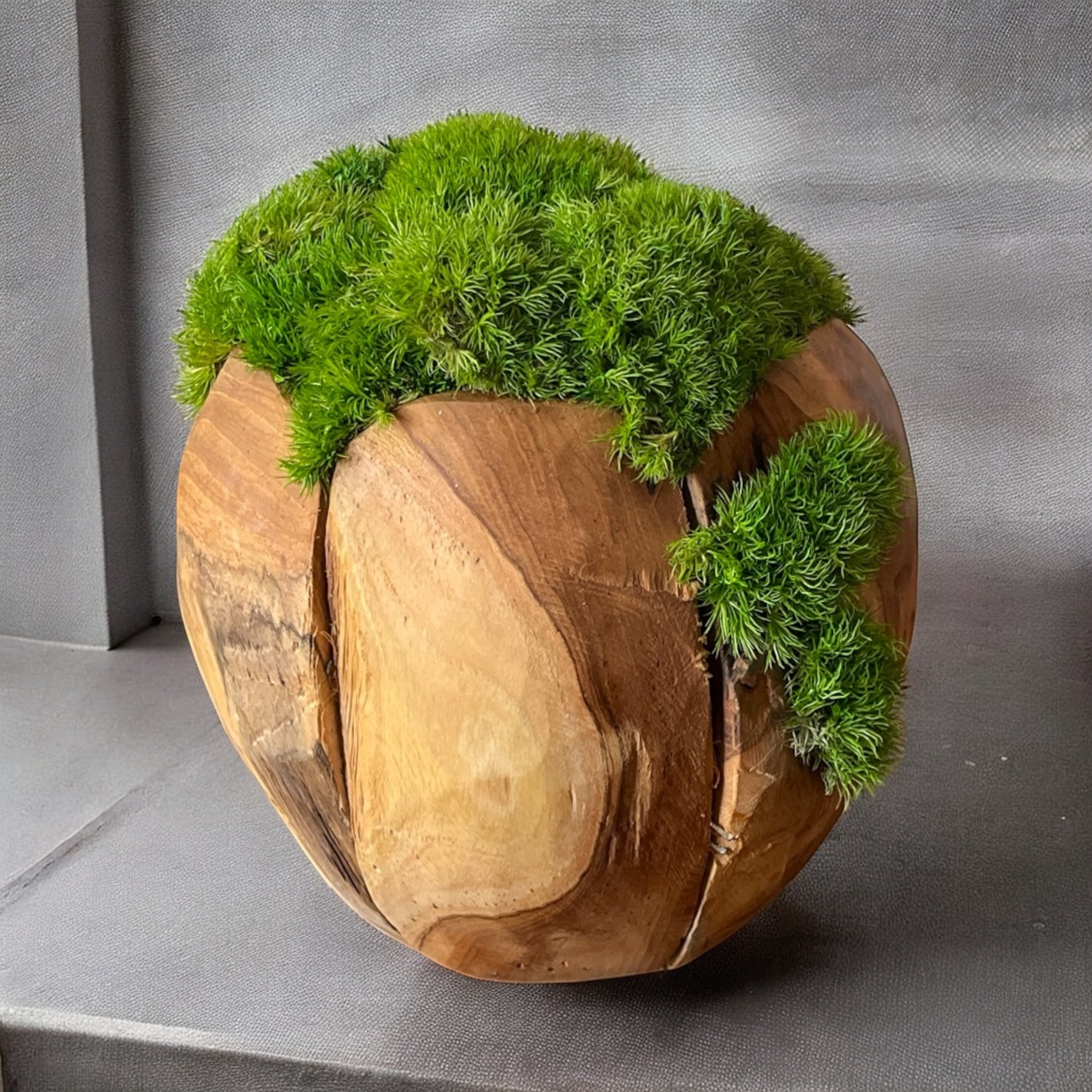 Mossed Teak Sphere – RootsofEarthCo