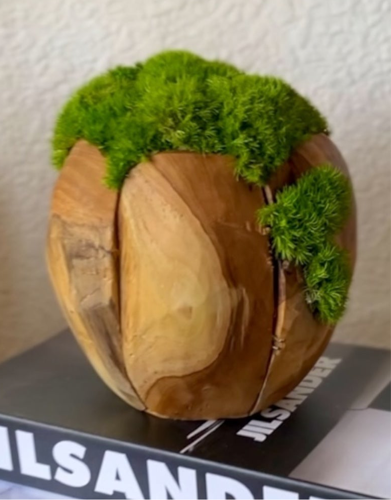 Mossed Teak Sphere – RootsofEarthCo