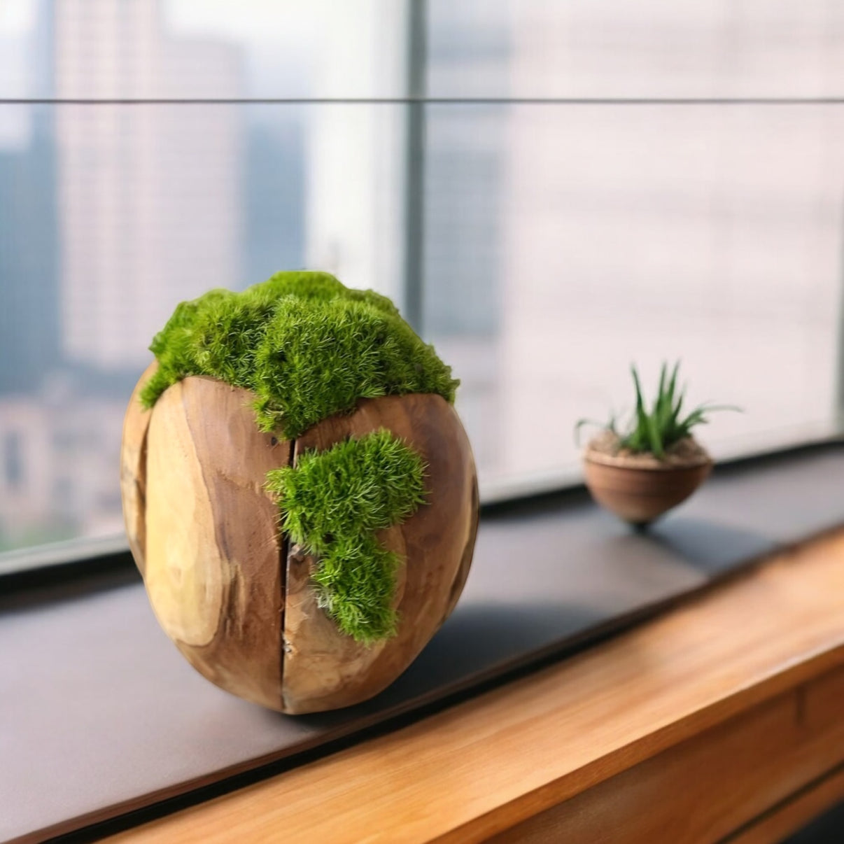 Mossed Teak Sphere – RootsofEarthCo