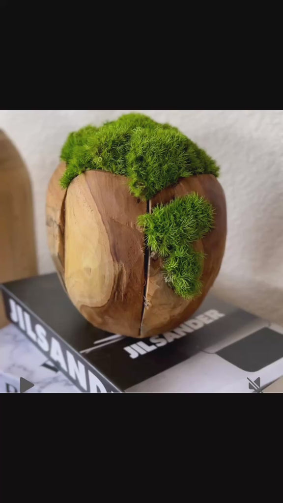 Mossed Teak Sphere – RootsofEarthCo